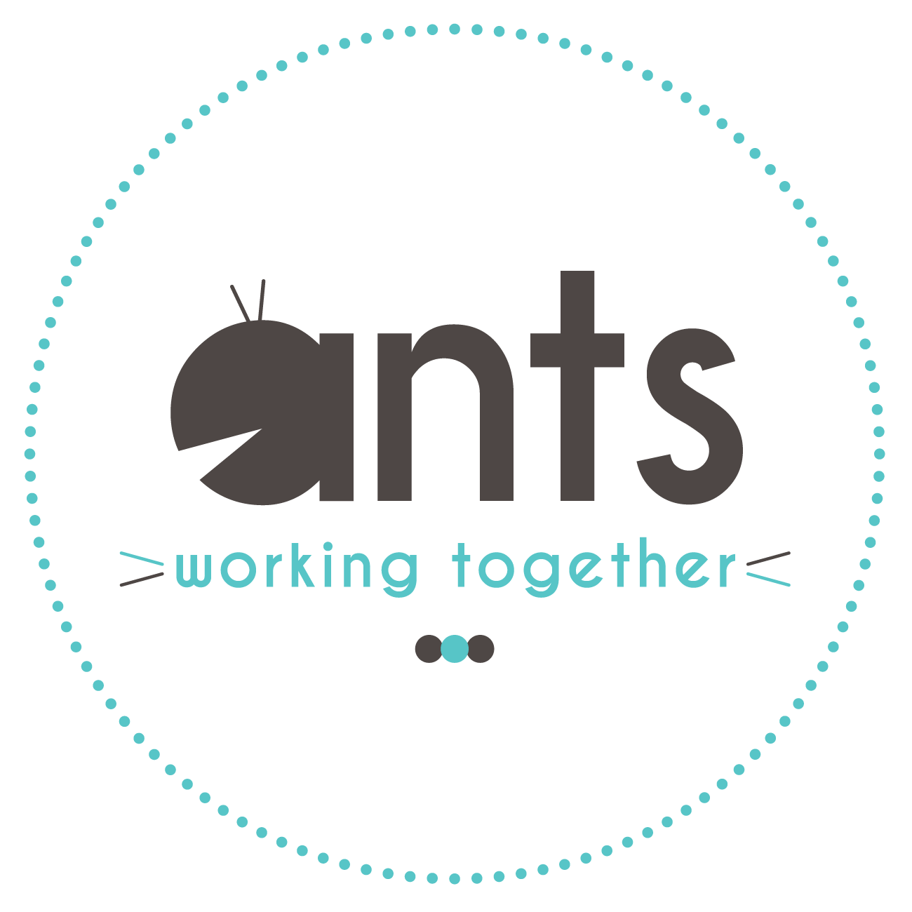 ANTS – Le Comptoir des Solutions