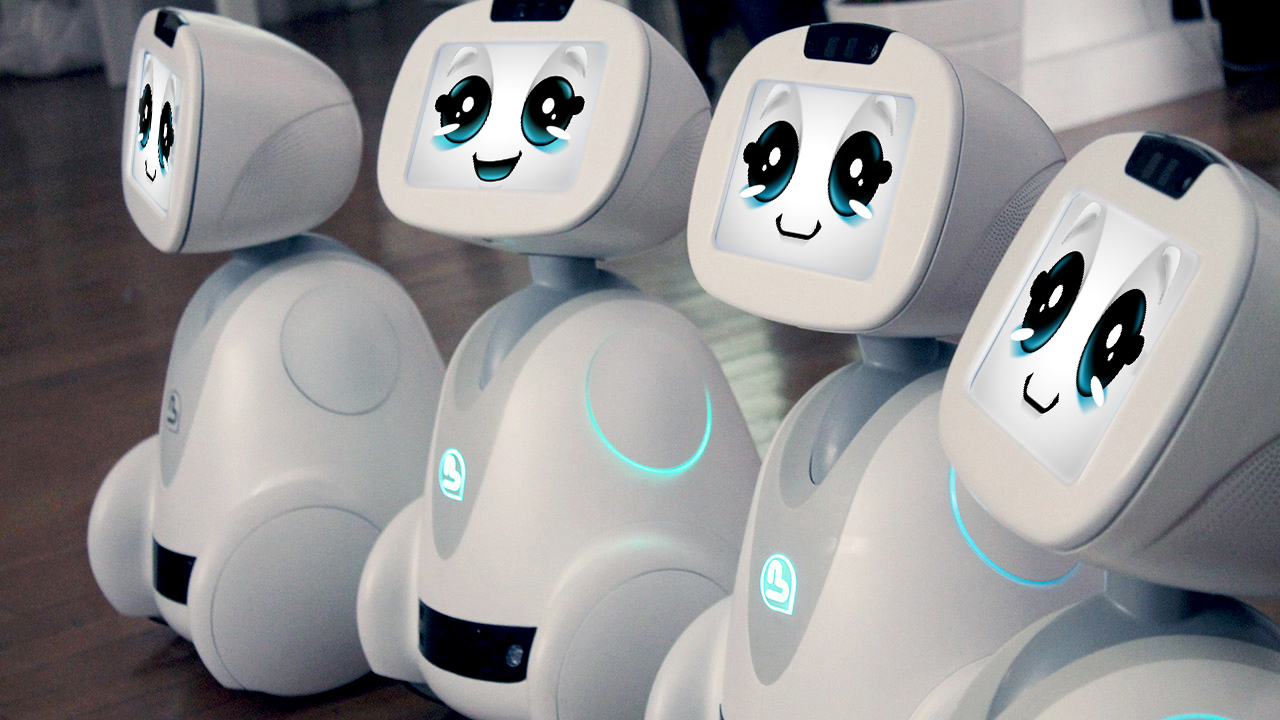 Buddy Robot – Le Comptoir des Solutions